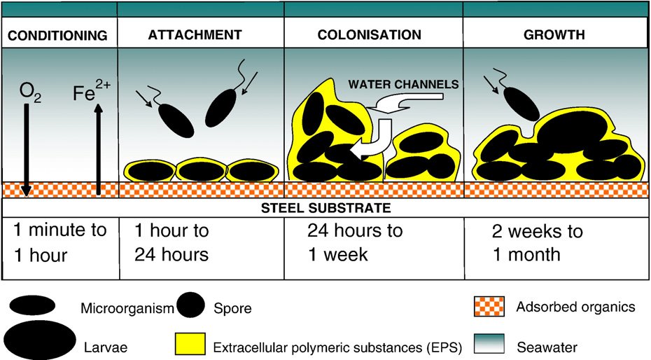 Untitled Document [www.esru.strath.ac.uk]