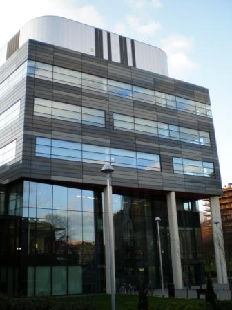 Interview with Consultants