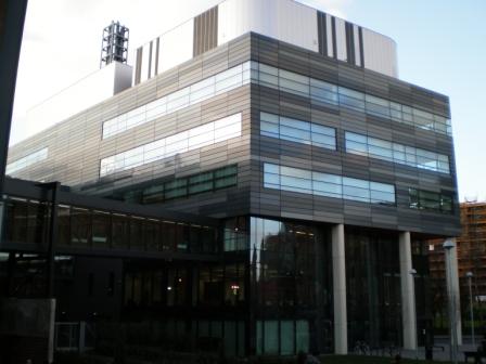 Interview with Consultants