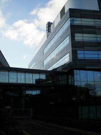 Interview with Consultants