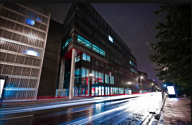 Interview with Consultants